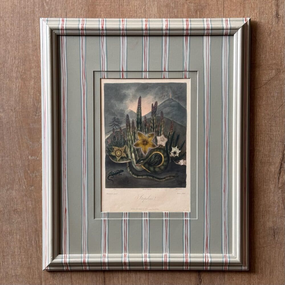 Pair of 18th C. Irish Thomas Frye in Gusto Painted Frame and Mat - Get ...