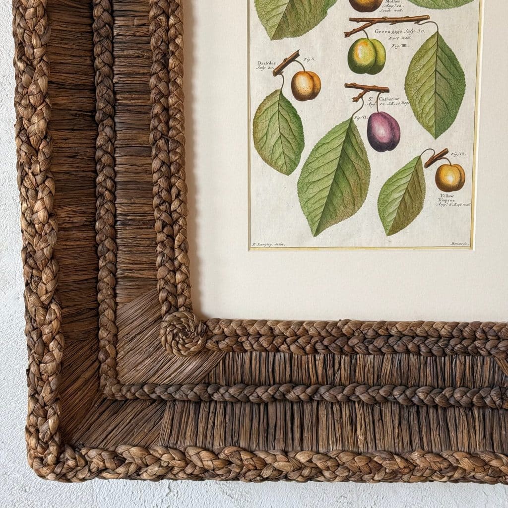Gusto Woven Frame with 18th C. Fruit Engraving IV - Casa Gusto