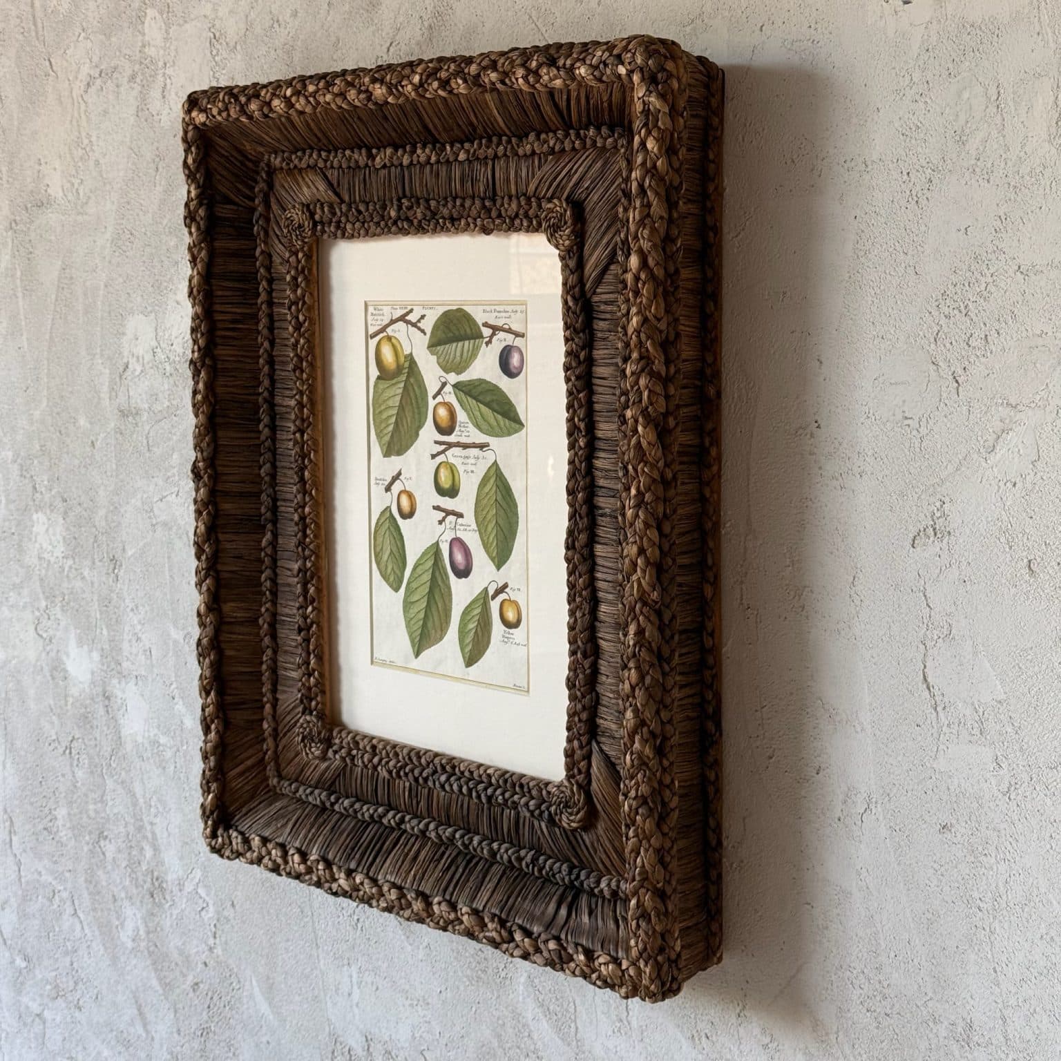 Gusto Woven Frame with 18th C. Fruit Engraving IV - Casa Gusto