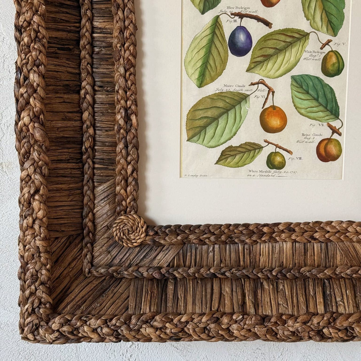 Gusto Woven Frame with 18th C. Fruit Engraving II - Casa Gusto