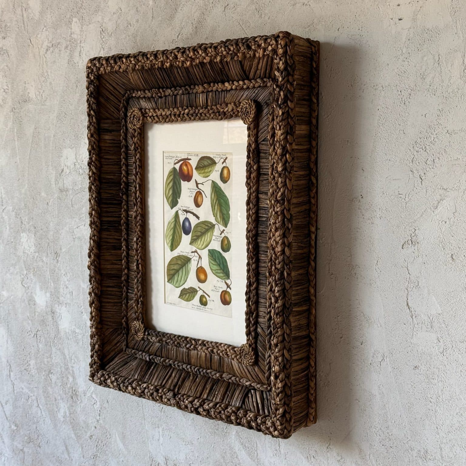 Gusto Woven Frame with 18th C. Fruit Engraving II - Casa Gusto