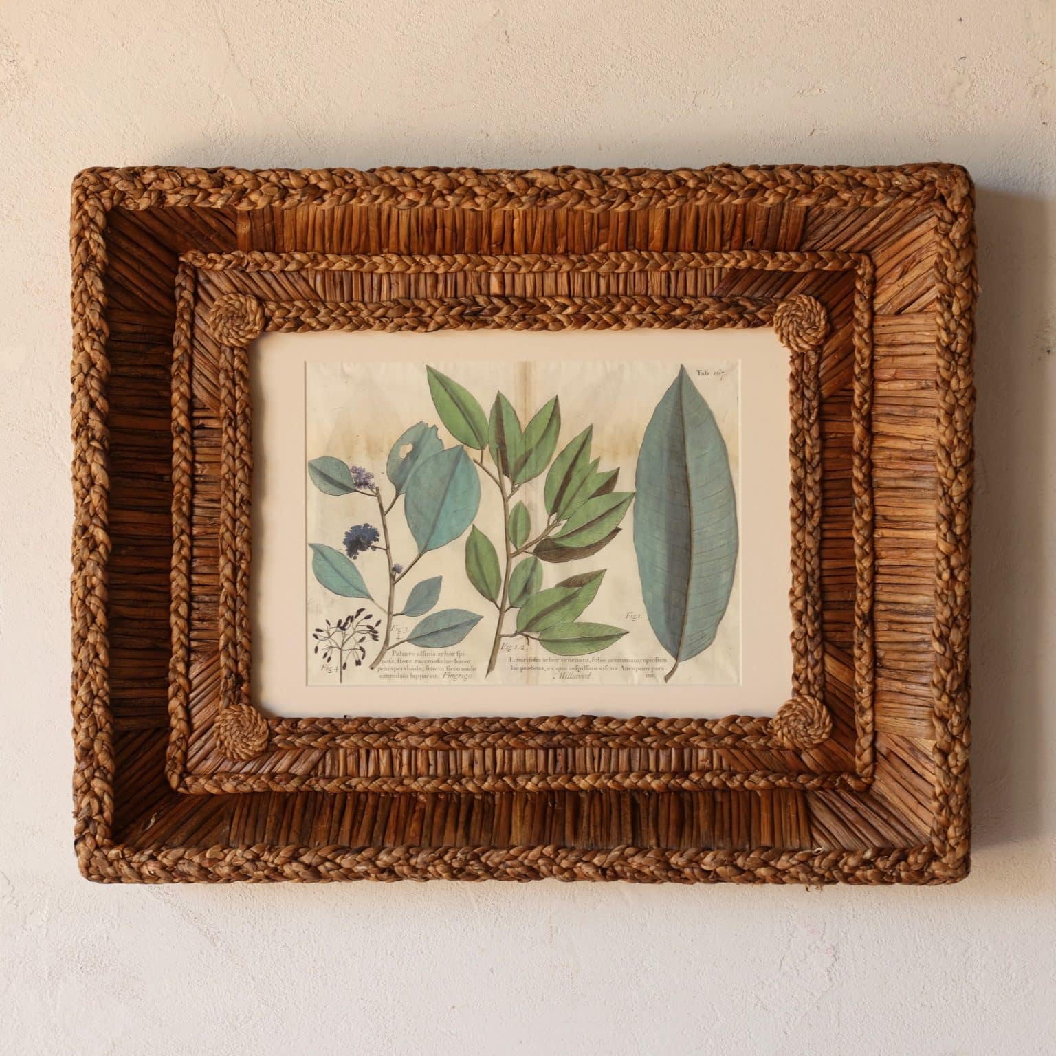 Woven Frames Archives - Casa Gusto