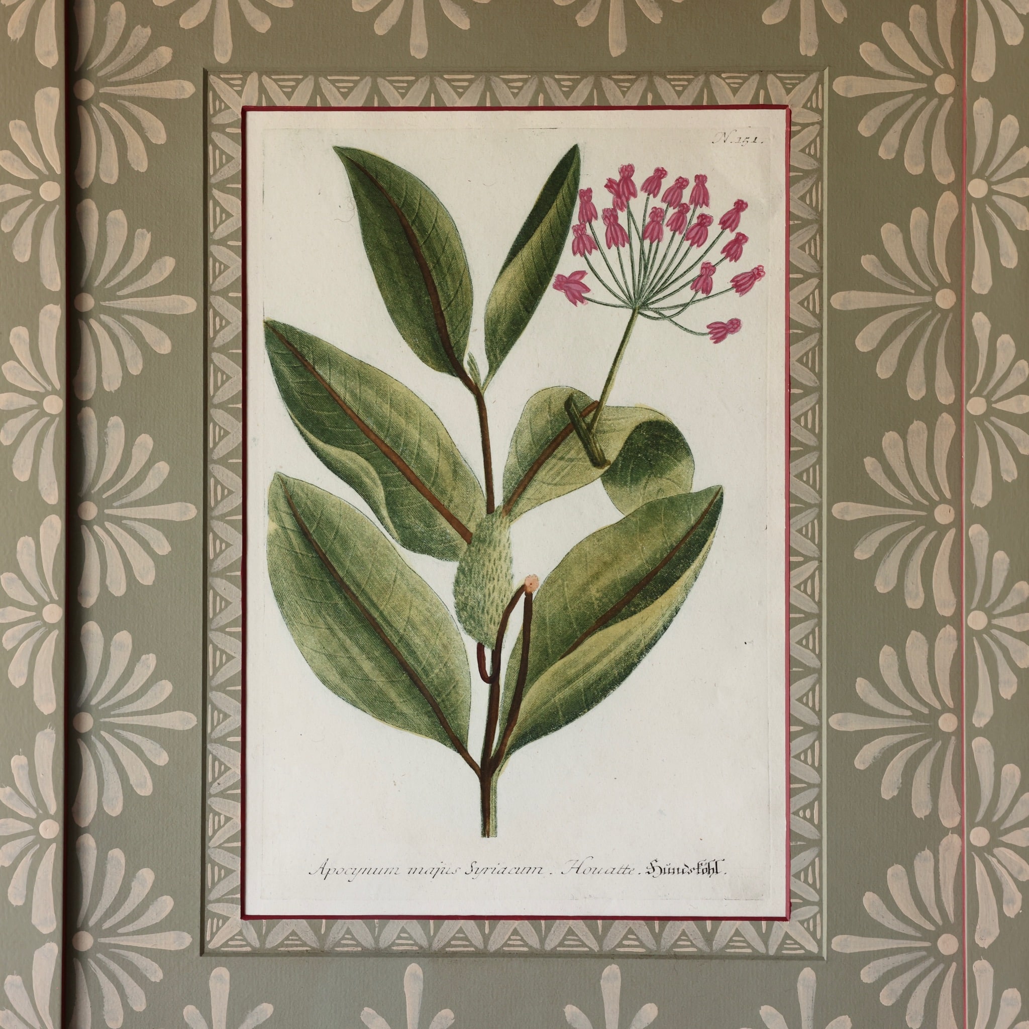 18th C. Weinmann Botanical Hand-Colored Engraving in Gusto Palmette ...