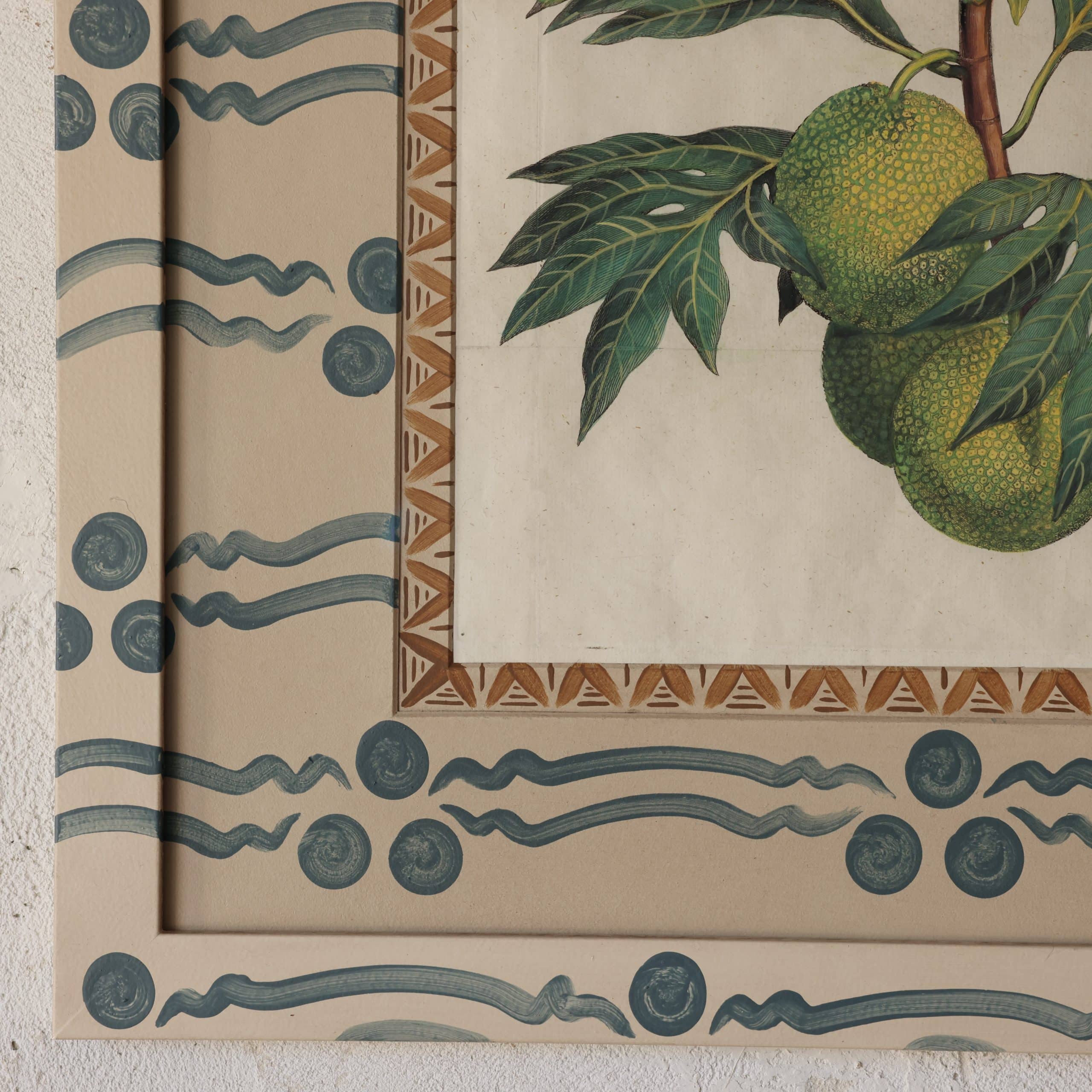 18th C. John Frederick Miller Hand Colored Botanical Engraving in ...